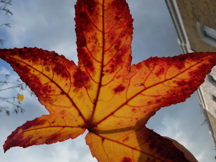 'The Red Hand Files' - Love And Loss